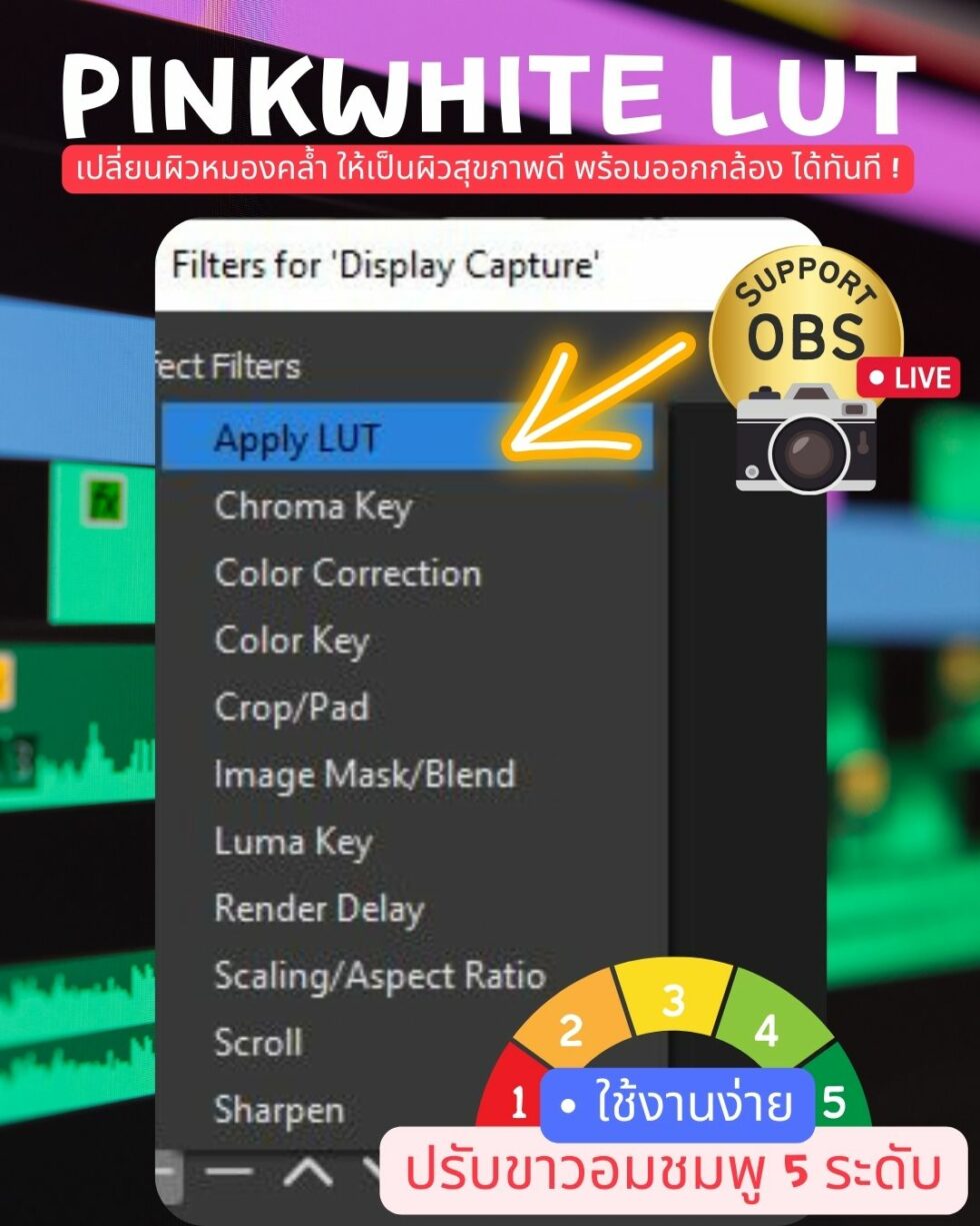 obs filter หน้าใส ทำ LIVE ให้ผิวขาวอมชมพูด้วย PINKWHITE LUT - KRU TONY